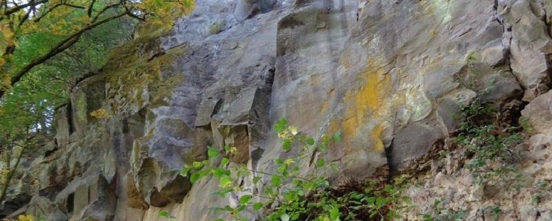 Locations Hub - Broughton Bluff climbing/bouldering
