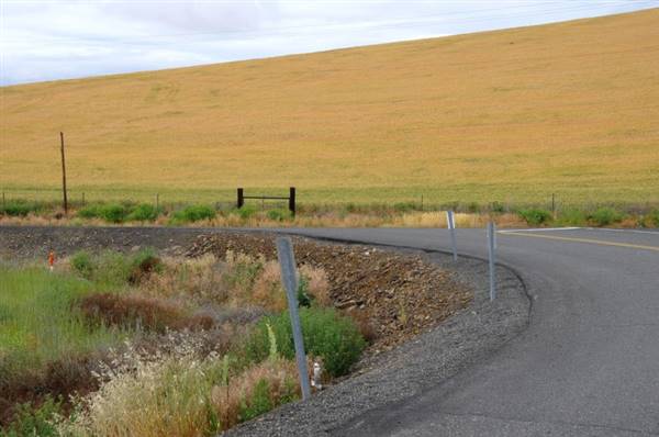 Locations Hub - Emerson Loop Road