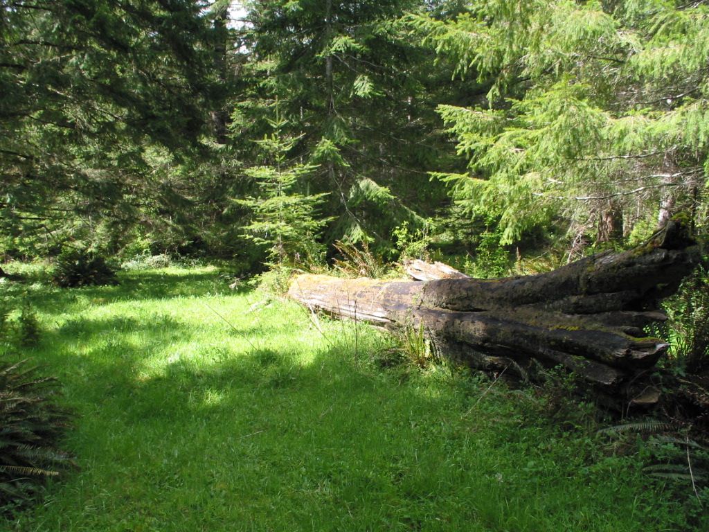 Locations Hub - Van Natta Property
