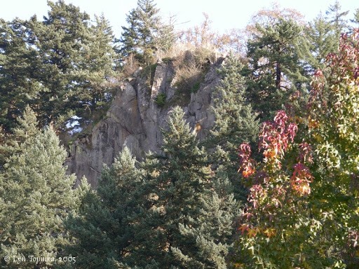 Locations Hub - Broughton Bluff climbing/bouldering