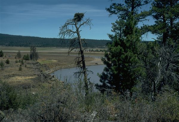 Locations Hub - Gerber Reservoir