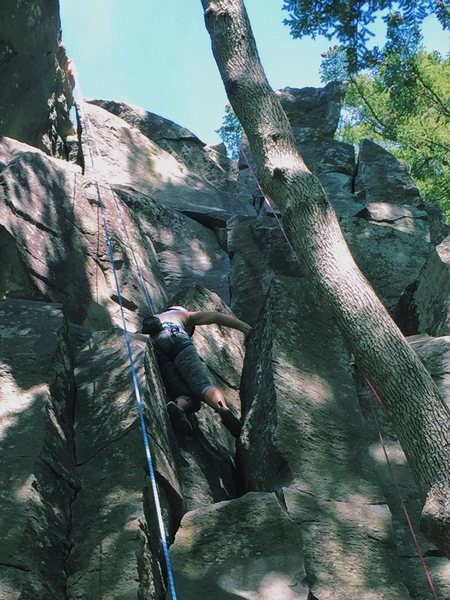 Locations Hub - Broughton Bluff climbing/bouldering