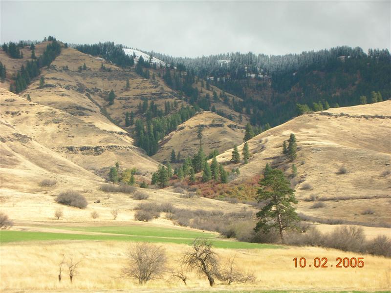 Locations Hub - Diamond Head Ranch