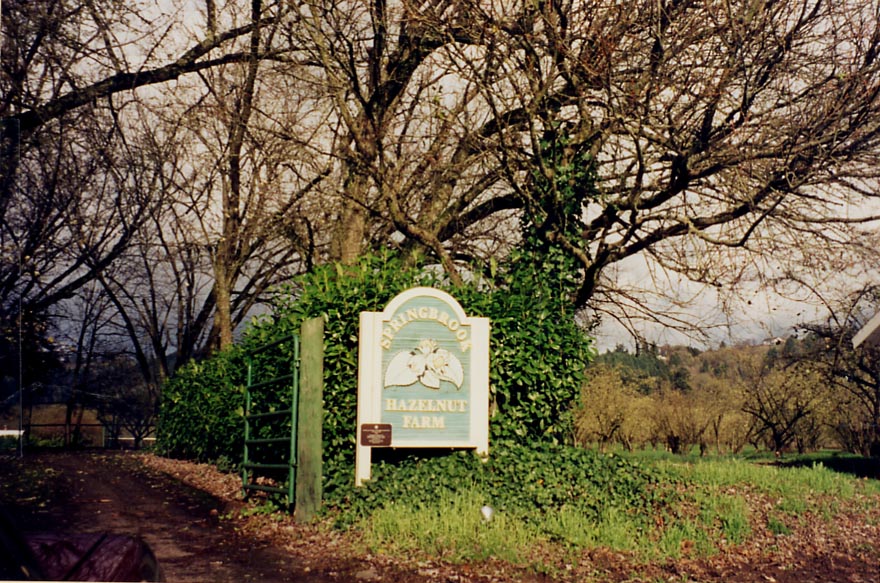 Locations Hub - Springbrook Hazelnut Farm B&B